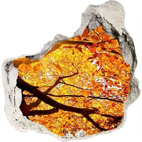 Wallmuralia Samolepící díra na stěnu Koruna stromů podzim 75x75 cm