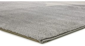 Šedý koberec 160x230 cm Monic – Universal