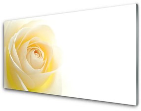 akrylový obraz Růže Květ Rostlina 140x70 cm