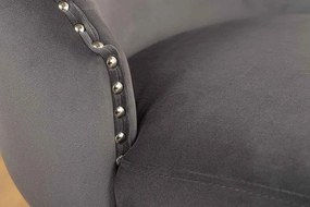 Designová židle Queen Lví hlava šedý samet