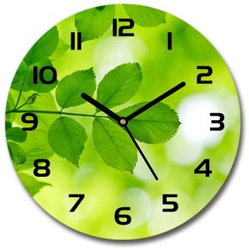 Wallmuralia Skleněné hodiny kulaté Zelená listí fi 30 cm