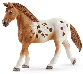 Schleich 42433 Appalosští koně a tréninkové příslušenství, 7 ks