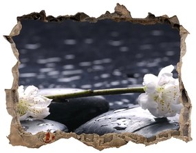 Wallmuralia Samolepící nálepka fototapeta Květ višně 95x64 cm