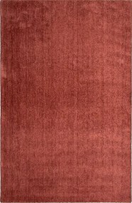 Kusový koberec Labrador 71351-013 rust Varianta: 120x170 cm