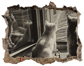 Wallmuralia Díra 3D fototapeta nálepka Kočky u okna 95x64 cm