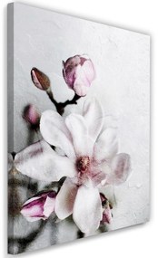 Gario Obraz na plátně Bílý květ magnólie - Dmitry Belov Rozměry: 40 x 60 cm