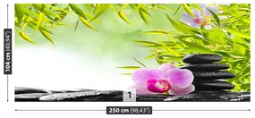 Fototapeta Bambus a orchidej 104x70