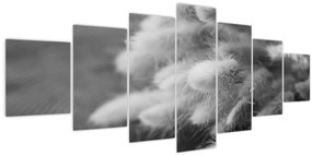 Obraz - Bunny tail grass na stole (210x100 cm)