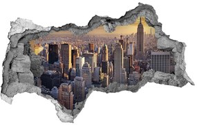 Wallmuralia Fototapeta díra na zeď 3D New York z ptačího pohledu 95x73 cm