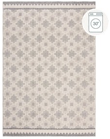Šedobéžový pratelný koberec 78x150 cm Graysen – Flair Rugs
