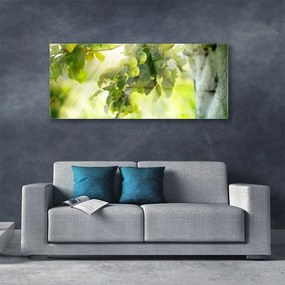akrylový obraz Jablka Větev Strom Příroda 125x50 cm