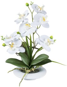 Gasper Orchidej v keramickém květináči, 41 cm, bílá