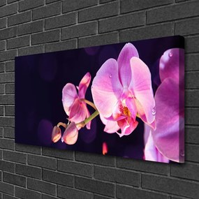 Obraz na plátně Květiny Rostlina 140x70 cm