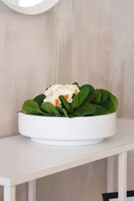 Mísa na květiny ESCADA LOW, sklolaminát, Ø 30 cm, bílá