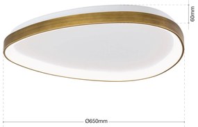 Stropní svítidlo Charlie LED, 3 000 K, Ø 65 cm