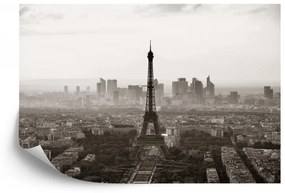 Fototapeta Paříž Eiffelova Věž Omyvatelný vlies 152.5x104