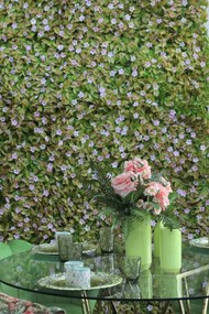 Zelená stěna z listů a růžových begonií 50x50cm