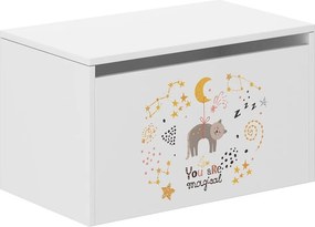 Wooden Toys KONTEJNER NA HRAČKY S MOTIVEM KOČKY