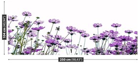 Fototapeta vesmír květiny 104x70