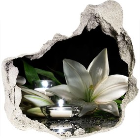 Wallmuralia Samolepící díra nálepka Bílá lilie 75x75 cm
