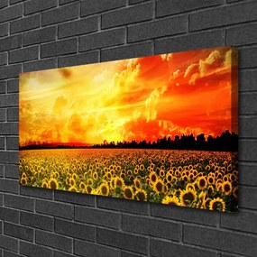 Obraz na plátně Louka Slunečnice Květiny 120x60 cm