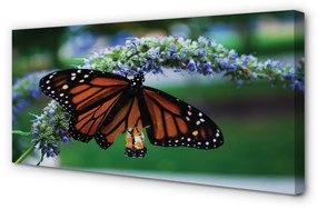 Obrazy na plátně Motýl na květině 140x70 cm