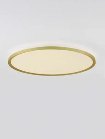 LED stmívatelné broušené zlaté moderní stropní svítidlo Aoton 55W