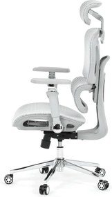 Ergonomická kancelářská židle FORCE - šedá síťovina