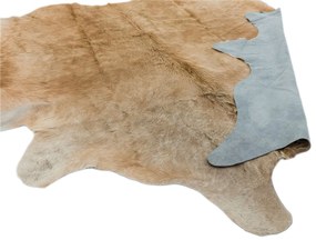 Béžový  koberec Banshee Solid Beige Rozměry: 180x240 cm