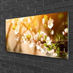 Obraz na skle Květiny Rostlina Příroda 120x60 cm