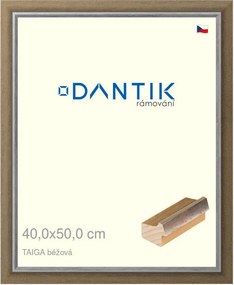 DANTIK rámeček 40x50 | TAIGA béžová (Plexi Čiré)