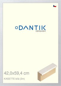 DANTIK rámeček 42x59,4 | KASSETTE bílá (Plexi Čiré)