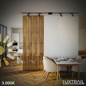 Lištové LED svítidlo BRILONER Luxtrail 48V spot 5W nastavitelné černá 8031015