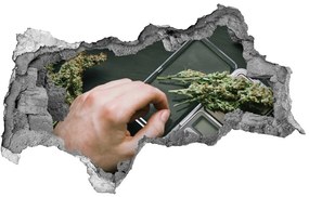 Wallmuralia Samolepící nálepka fototapeta Marihuana 95x73 cm