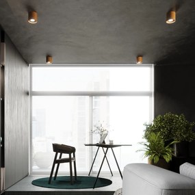 Sollux Lighting Stropní svítidlo MIKA zlaté