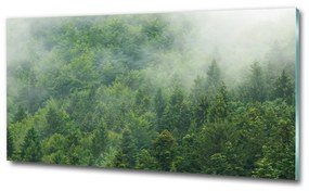 Wallmuralia Fotoobraz na skle Tajemný les 100x50