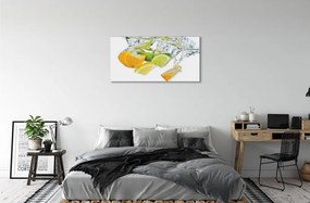 Obrazy na plátně voda citrus 120x60 cm