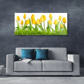 akrylový obraz Tulipány 125x50 cm