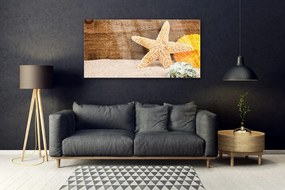 akrylový obraz Písek Hvězdice Umění 120x60 cm