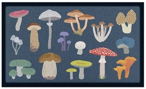 Rohožka 60x90 cm Mixed Wild Mushroom – Artsy Doormats