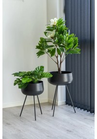 House Nordic Set 2 černých kovových květináčů ARDOLA 9001170