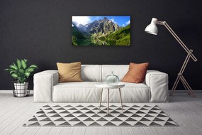 Obraz na plátně Tatry Hory Mořské Oko Les 140x70 cm