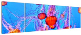 Obraz medúz v moři (170x50 cm)