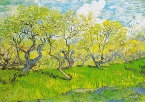 ENJOY Puzzle Vincent Van Gogh: Kvetoucí sad / 1000 dílků / od 14 let
