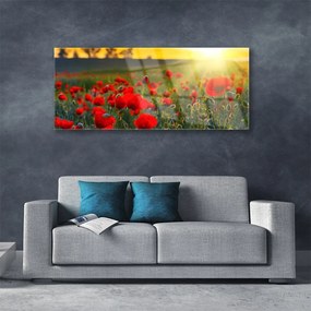 Plexisklo-obraz Louka Máky Rostlina Příroda 125x50 cm