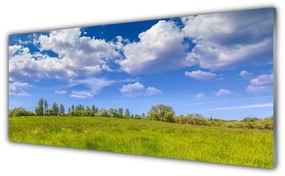 akrylový obraz Louka Tráva Nebe Krajina 125x50 cm