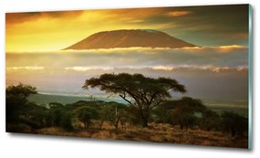 Wallmuralia Fotoobraz na skle Kilimanjaro Kenya 100x50