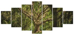 Obraz stromu (210x100 cm)