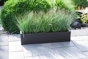 Truhlík FLOBO, sklolaminát, šířka 80 cm, antracit