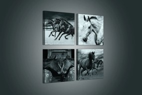 Postershop Obraz na plátně: Koně - set 4ks 25x25cm